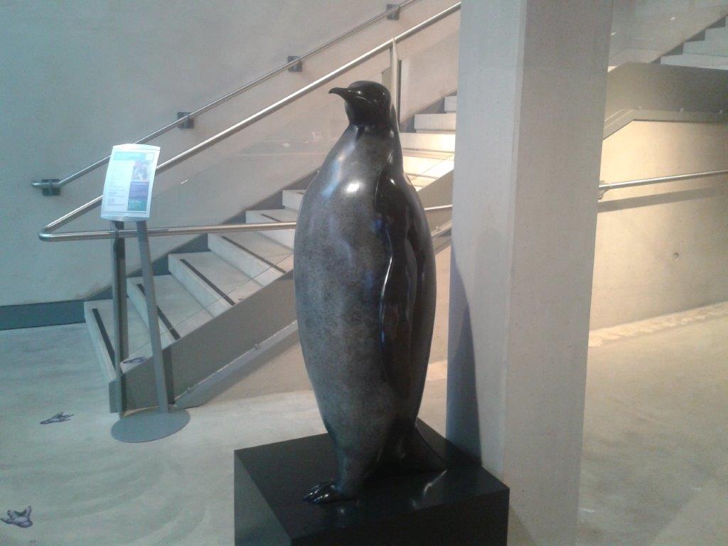 The penguin has arrived - Friends of The Wilson